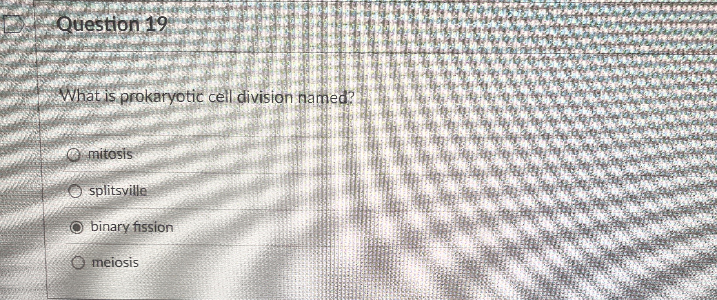 Solved Question 19What is prokaryotic cell division | Chegg.com