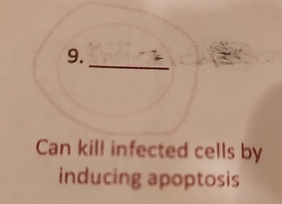 Solved Can kill infected cells by inducing apoptosis | Chegg.com