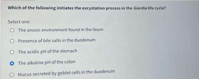 Solved Which of the following initiates the excystation | Chegg.com