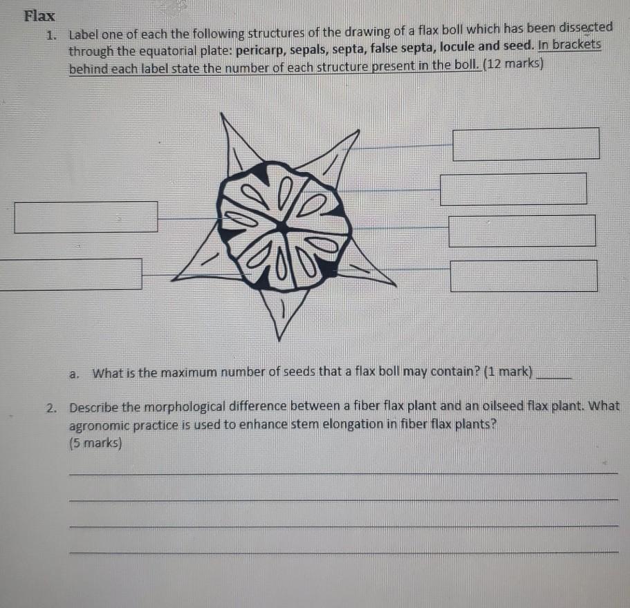 Solved Flax 1. Label one of each the following structures of | Chegg.com