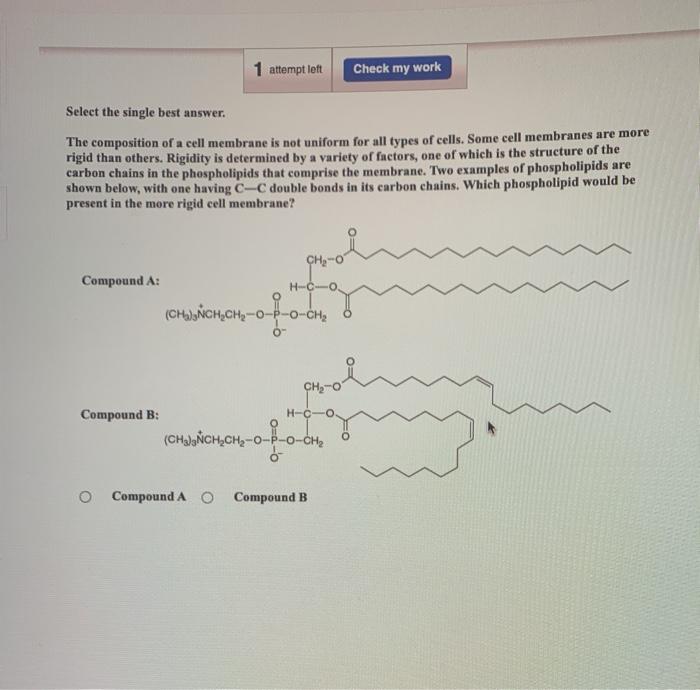 Solved 1 attempt left Check my work Select the single best | Chegg.com