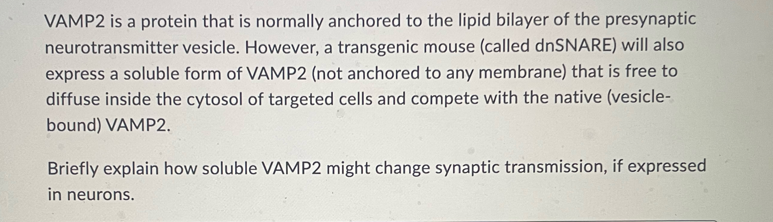 Solved VAMP2 ﻿is a protein that is normally anchored to the | Chegg.com