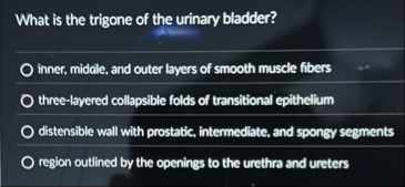 Solved What is the trigone of the urinary bladder?inner, | Chegg.com