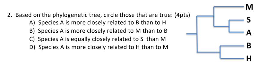 Solved Please explain your answer. Thank you. | Chegg.com