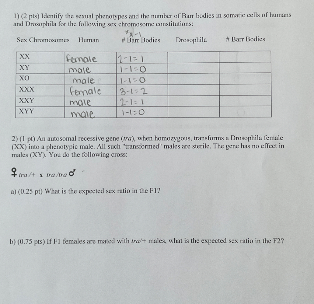Solved (2 ﻿pts) ﻿Identify the sexual phenotypes and the | Chegg.com