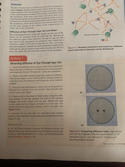 Solved 3. Calculate the rate of diffusion of methylene blue | Chegg.com