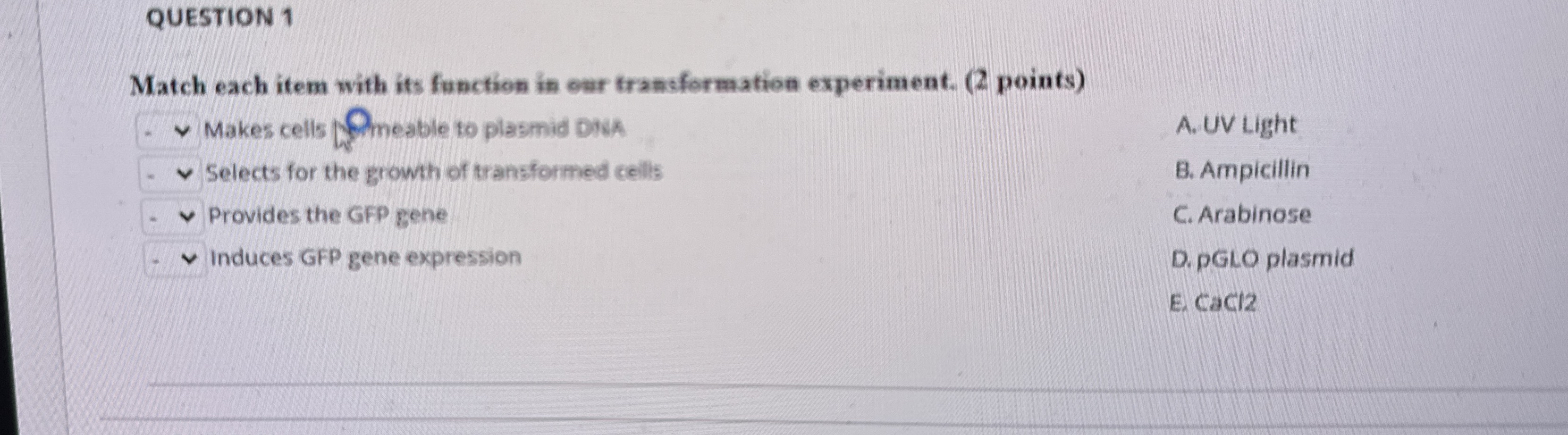 Solved QUESTION 1Match each item with its function in our | Chegg.com