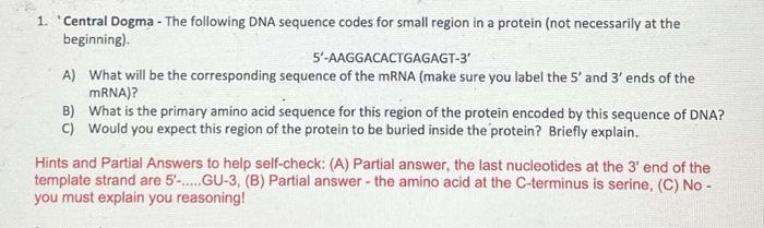 Solved 1. Central Dogma - The following DNA sequence codes | Chegg.com