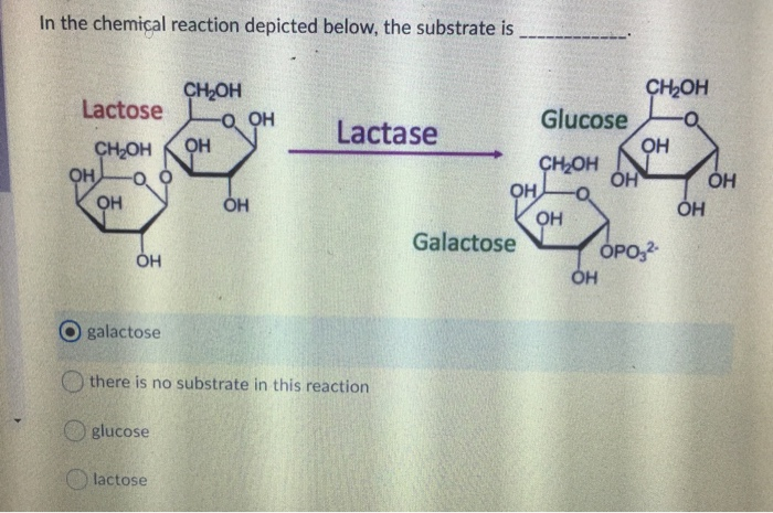 Solved In the chemical reaction depicted below, the | Chegg.com