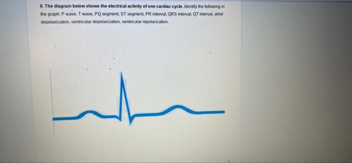 Solved fill in the diagram below for P wave, T wave, PQ | Chegg.com