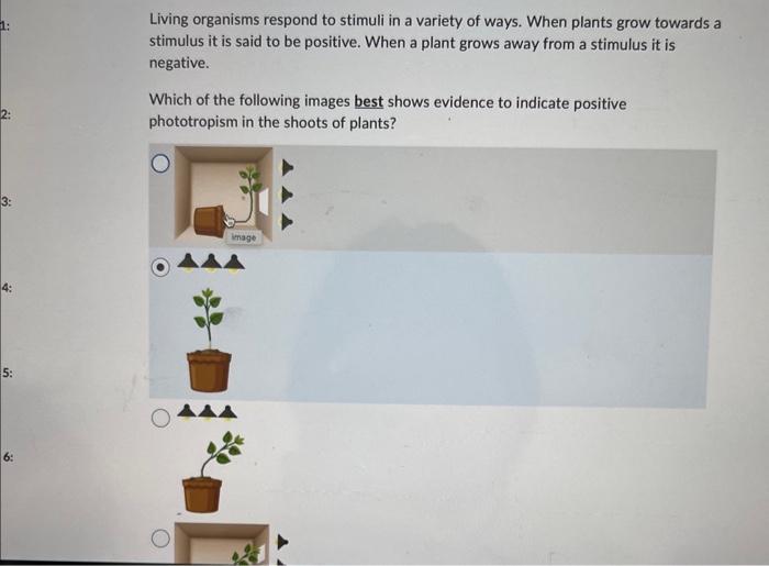 Solved Living organisms respond to stimuli in a variety of | Chegg.com