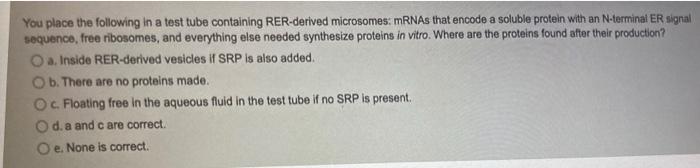 Solved What happens to a Ran/Exportin/Cargo complex after it | Chegg.com