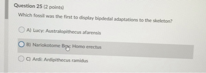 Solved Question 11 (2 points) Ardipithecus ramidus is an | Chegg.com