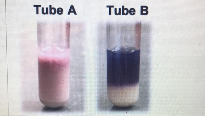Solved Tube A Tube B | Chegg.com