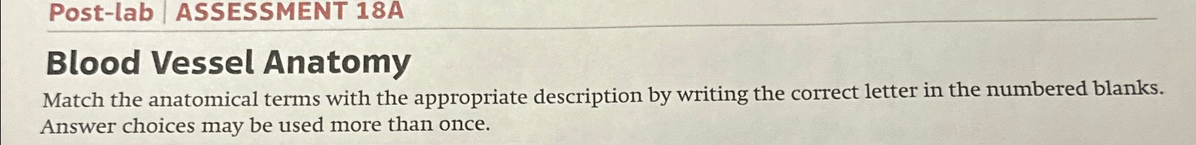 Post-lab || ﻿ASSESSMENT 18ABlood Vessel AnatomyMatch | Chegg.com