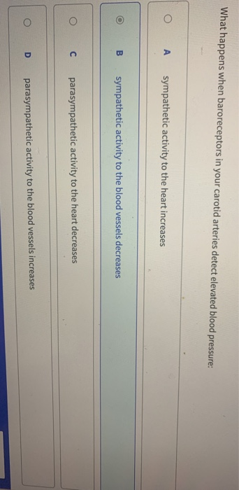 Solved What happens when peripheral chemoreceptors sense | Chegg.com