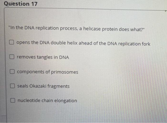 Solved "In the DNA replication process, a helicase protein | Chegg.com