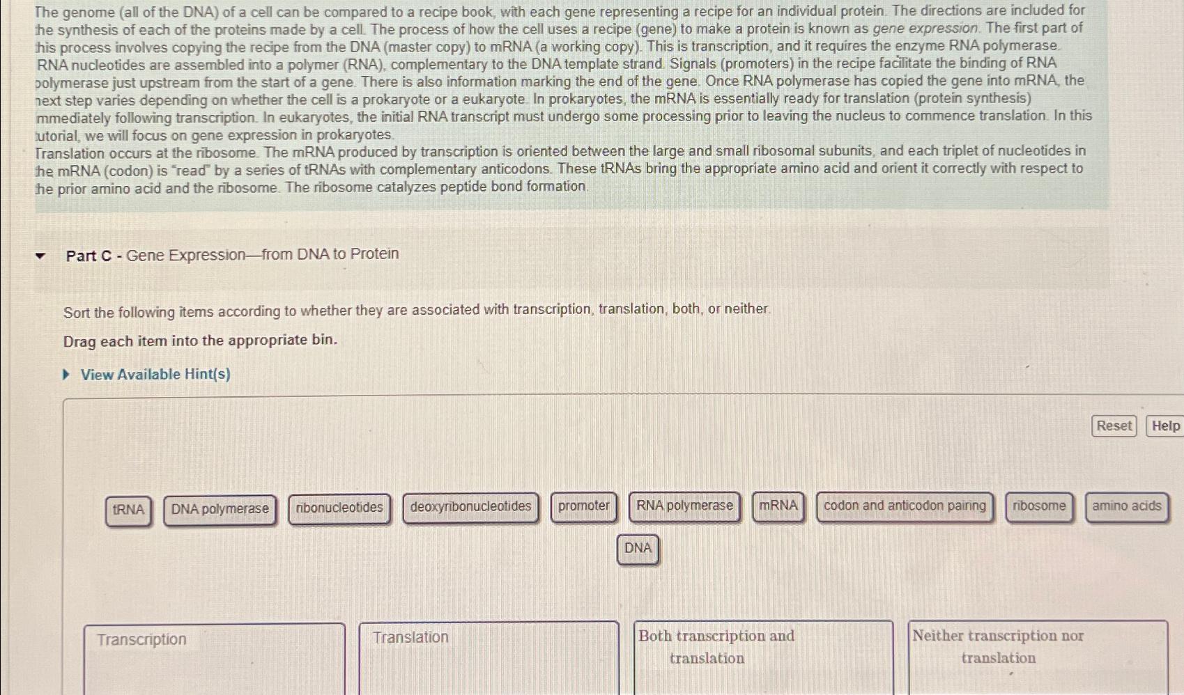 Solved The genome (all of the DNA) ﻿of a cell can be | Chegg.com
