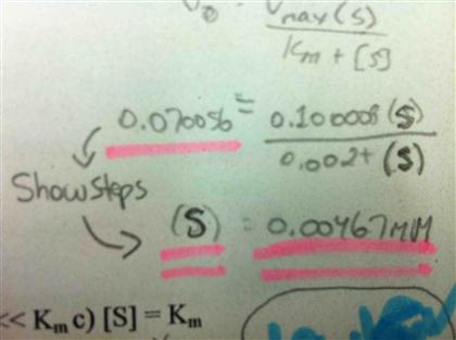 Solved v0 = Vmax(s)/km + (s) | Chegg.com
