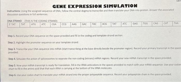 GENE EXPRESSION SIMULATION Instructions: Using the | Chegg.com