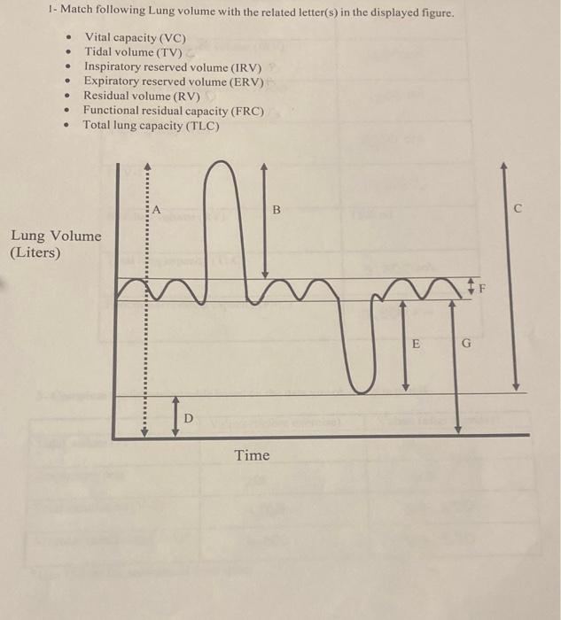 Solved 1- Match following Lung volume with the related | Chegg.com