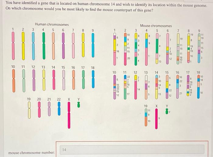Solved Which sgRNA portion does a researcher customize to | Chegg.com
