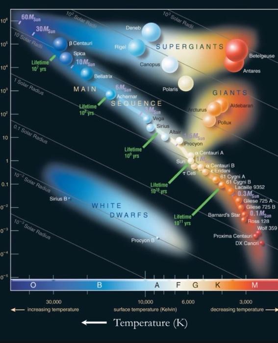 Solved 3. The most massive main sequence stars have spectral | Chegg.com