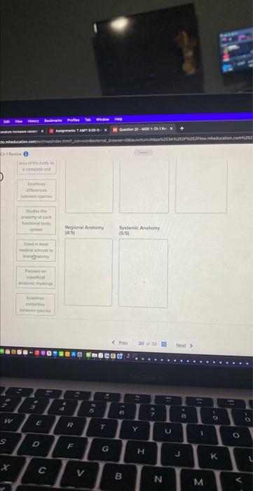 Solved Place the following items in the correct category. | Chegg.com