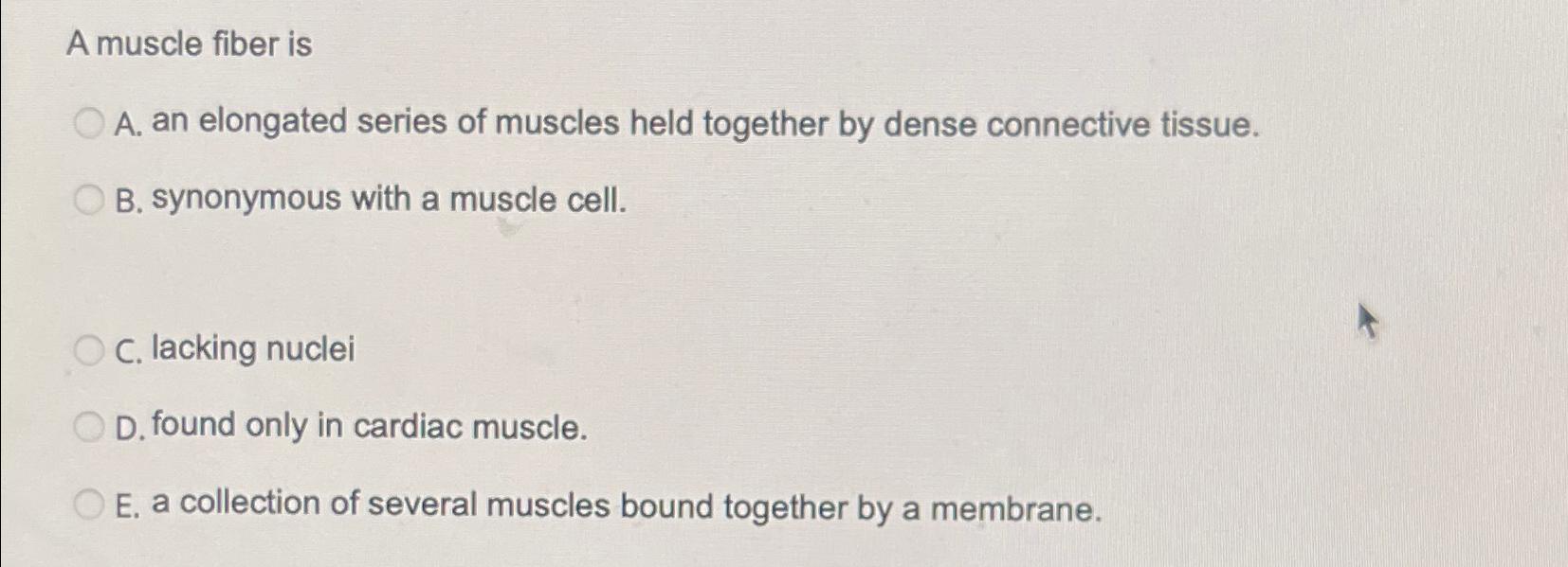Solved A muscle fiber isA. ﻿an elongated series of muscles | Chegg.com
