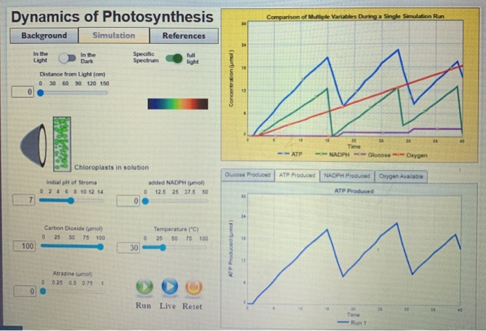 Solved Photosynthesis Model and Simulation Much gratitude to | Chegg.com