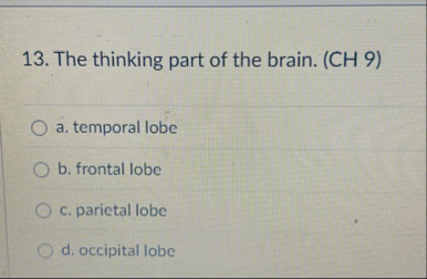 Solved The thinking part of the brain. (CH 9)a. ﻿temporal | Chegg.com
