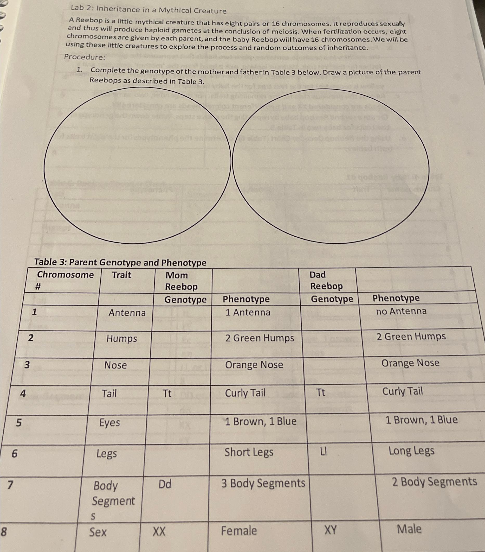 Lab 2: Inheritance in a Mythical CreatureA Reebop is | Chegg.com