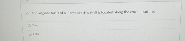 Solved The angular torus of a Homo erectus skull is located | Chegg.com