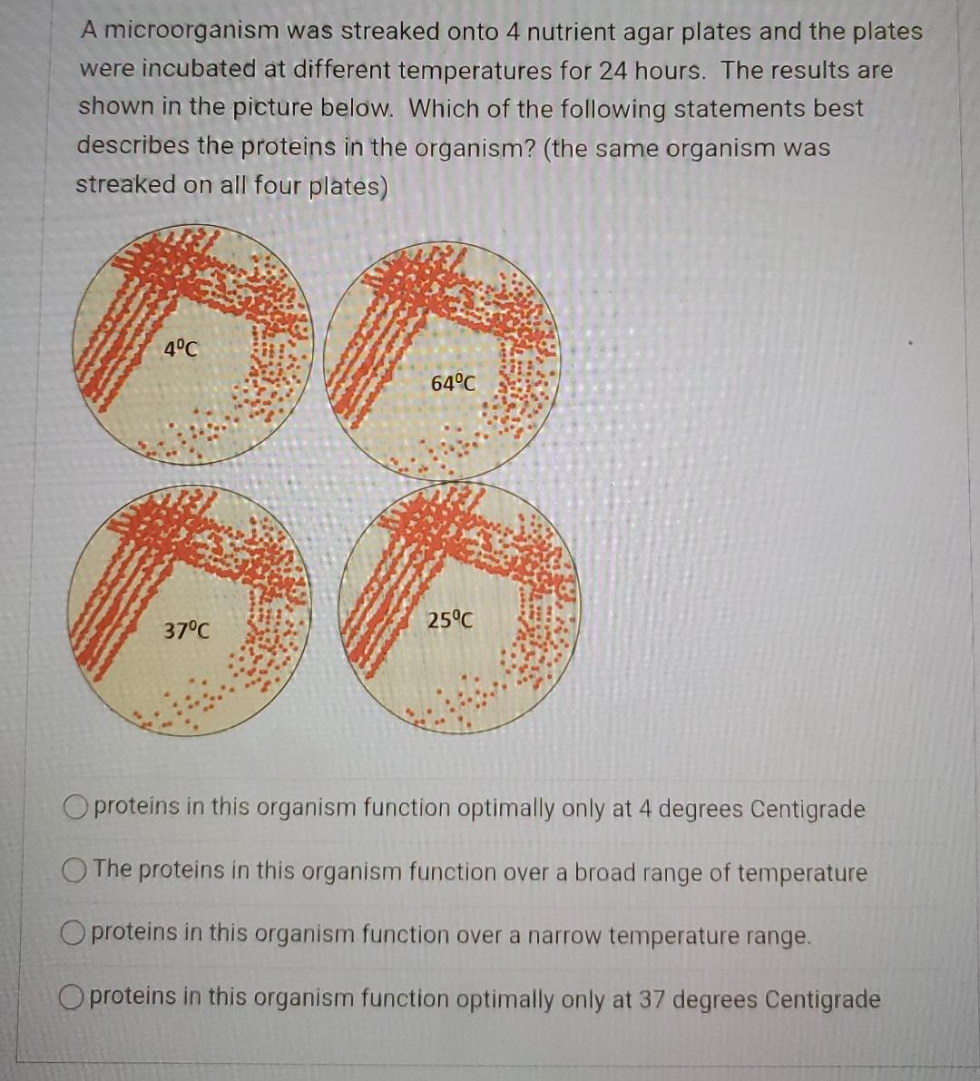 Solved A microorganism was streaked onto 4 ﻿nutrient agar | Chegg.com