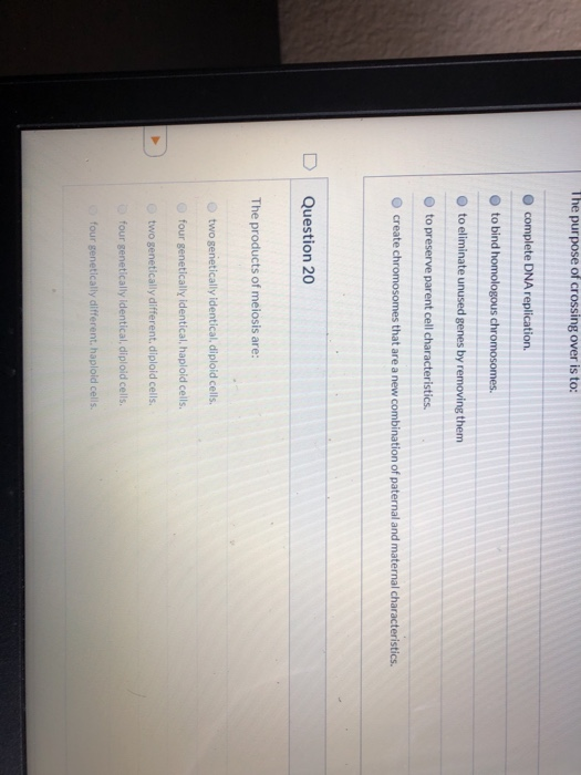 Solved The Code Of DNA Is Specified In The 20 Different Chegg solved-the-code-of-dna-is-specified-in-the-20-different-chegg