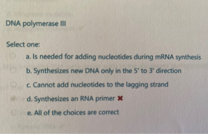 Solved The three-base sequence on mRNA that codes for an | Chegg.com