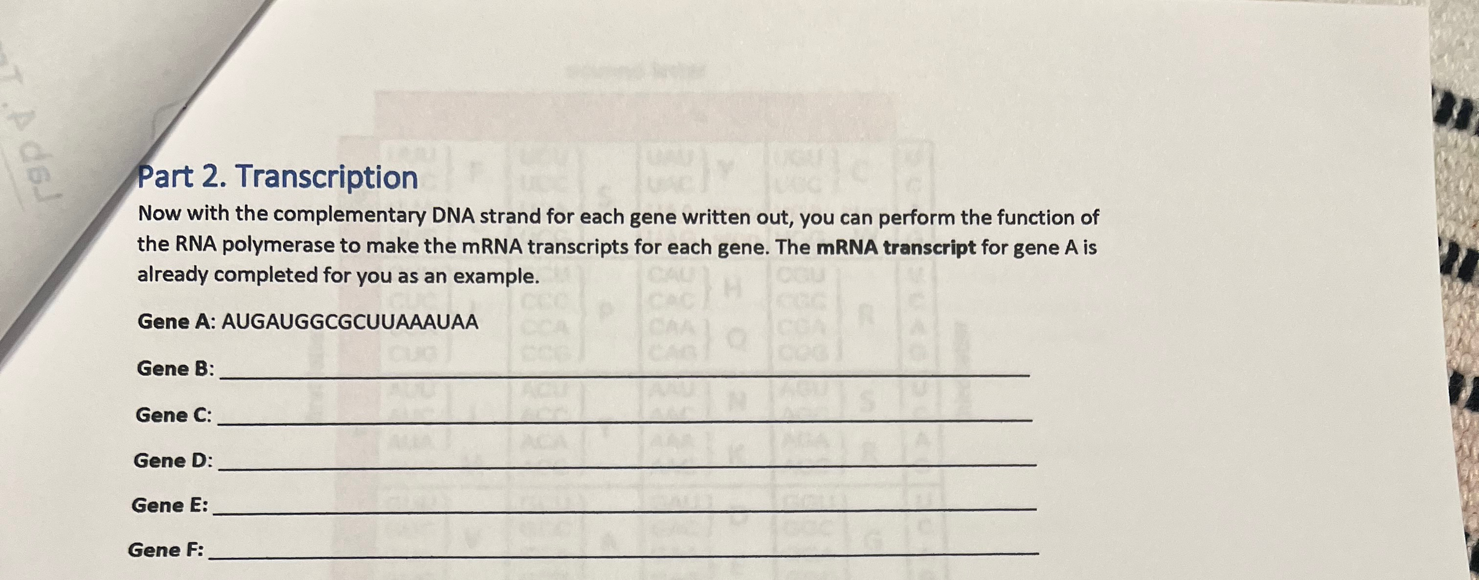 Solved Part 2. ﻿TranscriptionNow with the complementary DNA | Chegg.com