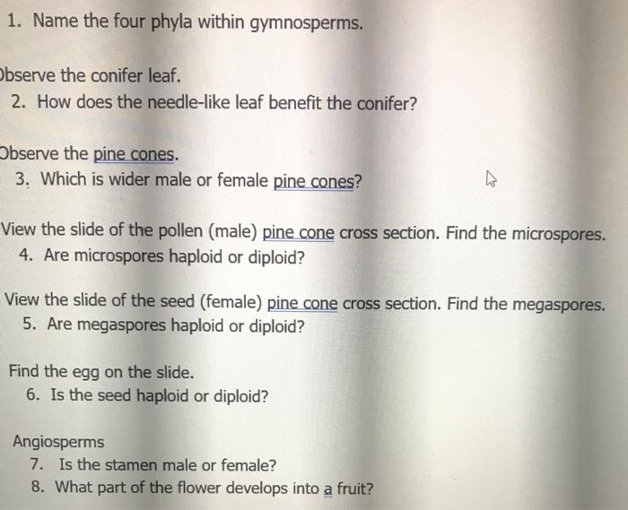 Solved 1. Name the four phyla within gymnosperms. Observe | Chegg.com
