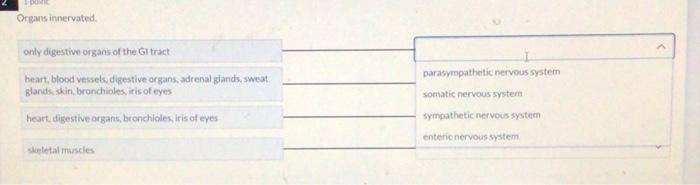 Solved Organs innervated. only digestive organs of the GI | Chegg.com
