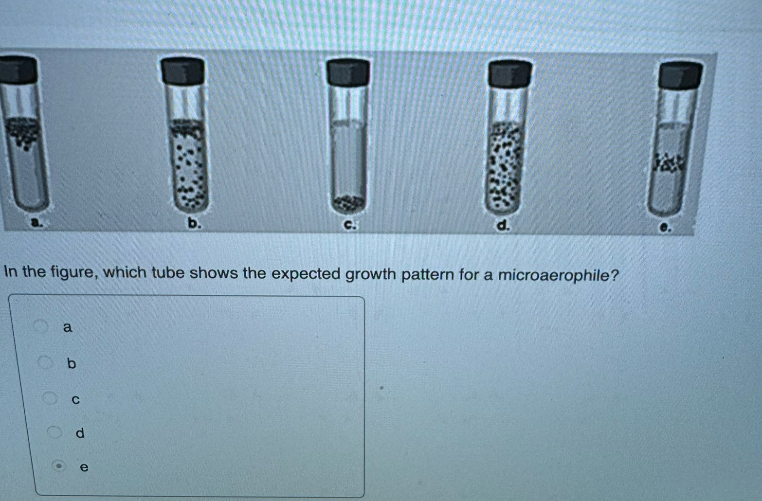 Solved In the figure, which tube shows the expected growth | Chegg.com