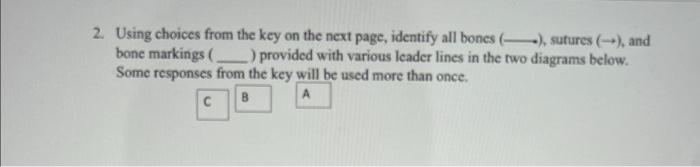 Solved Using choices from the key on the next page, identify | Chegg.com