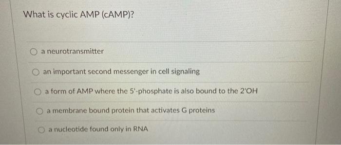 Solved What is cyclic AMP (CAMP)? O a neurotransmitter an | Chegg.com