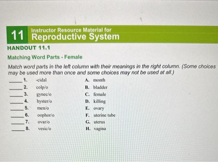 [Solved]: 11.1 Matching Word Parts - Female Match word parts