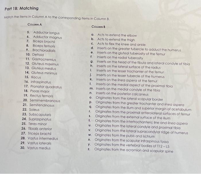 Solved Maich the items in Column A to the corresponding | Chegg.com