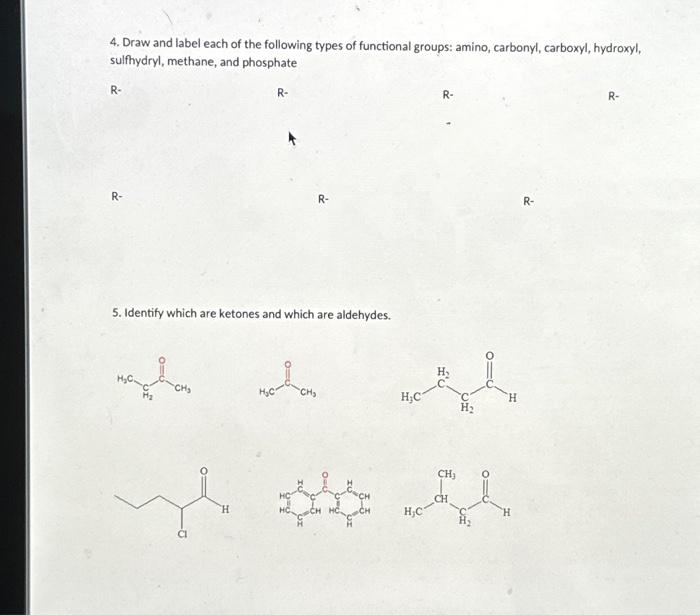 Solved 4. Draw and label each of the following types of | Chegg.com