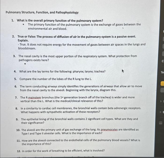 Solved Pulmonary Structure, Function, and Pathophysiology 1. | Chegg.com