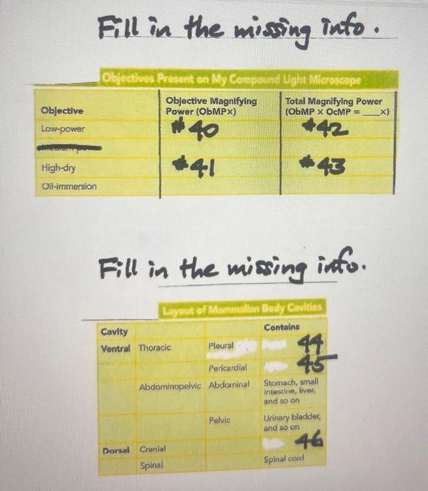 Solved Fill in the missing info. Fill in the missing info. | Chegg.com