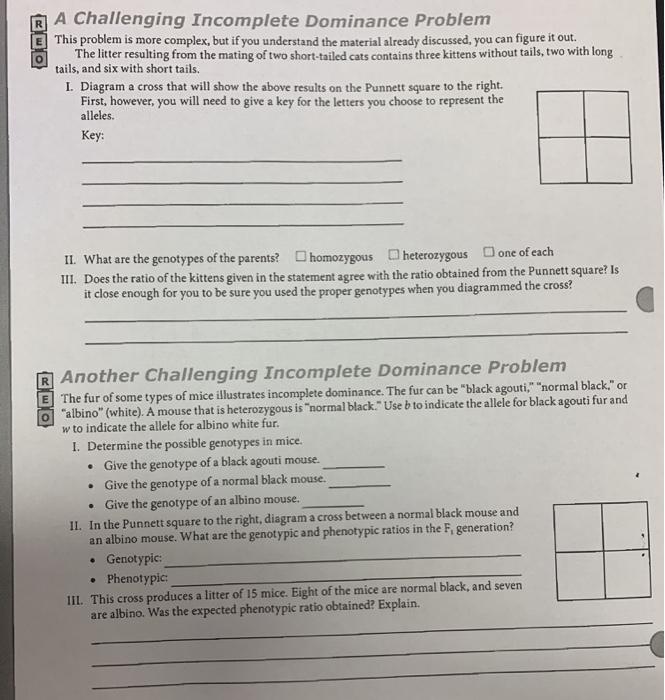 Solved A Challenging Incomplete Dominance Problem This | Chegg.com