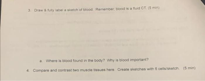Solved 3. Draw \& fully label a sketch of blood. Remember, | Chegg.com