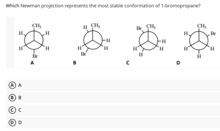 Solved Which Newman projection represents the most stable | Chegg.com